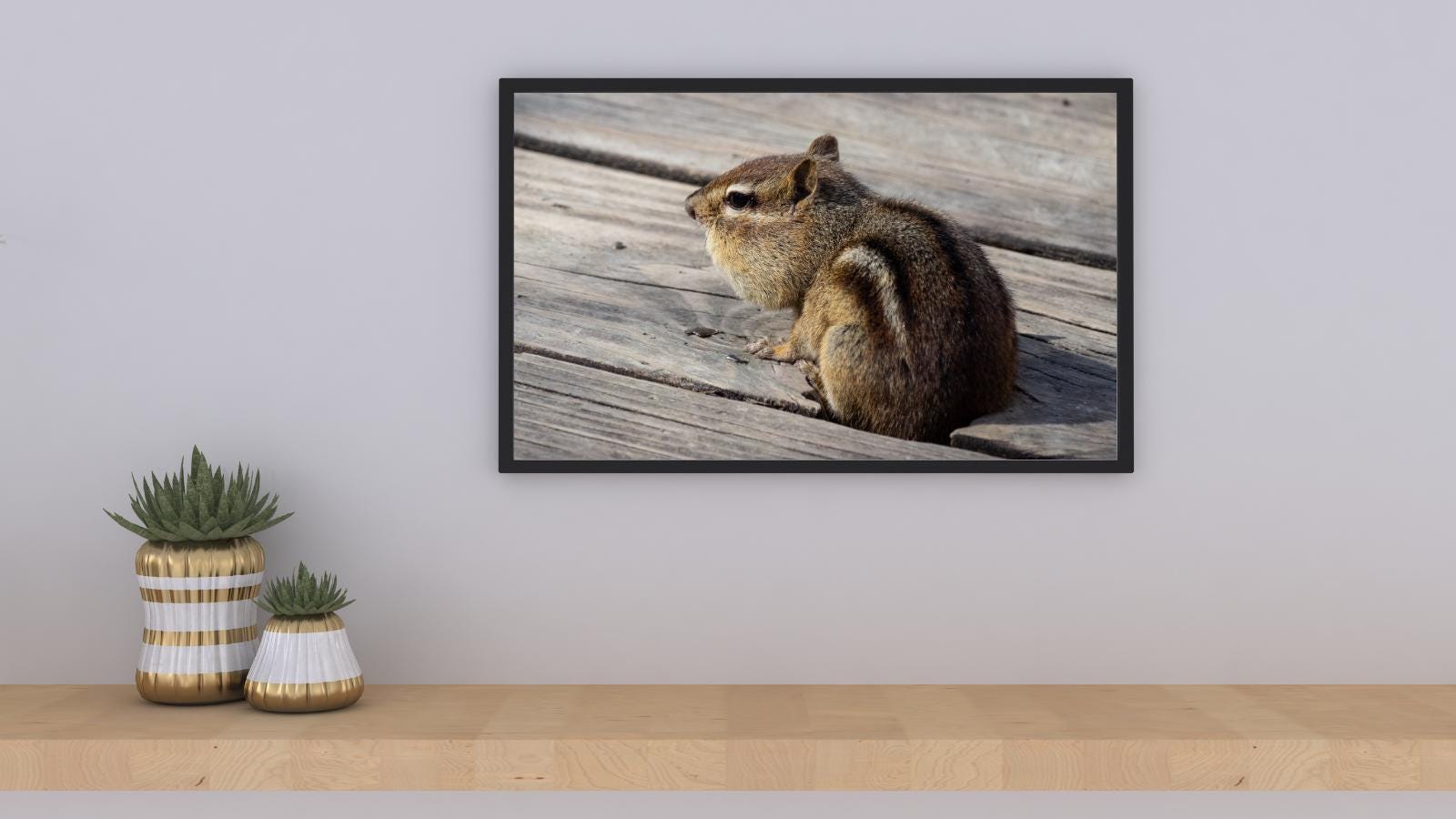 Curious Chipmunk - Digital Animal Photo, Chipmunk Picture - Etsy