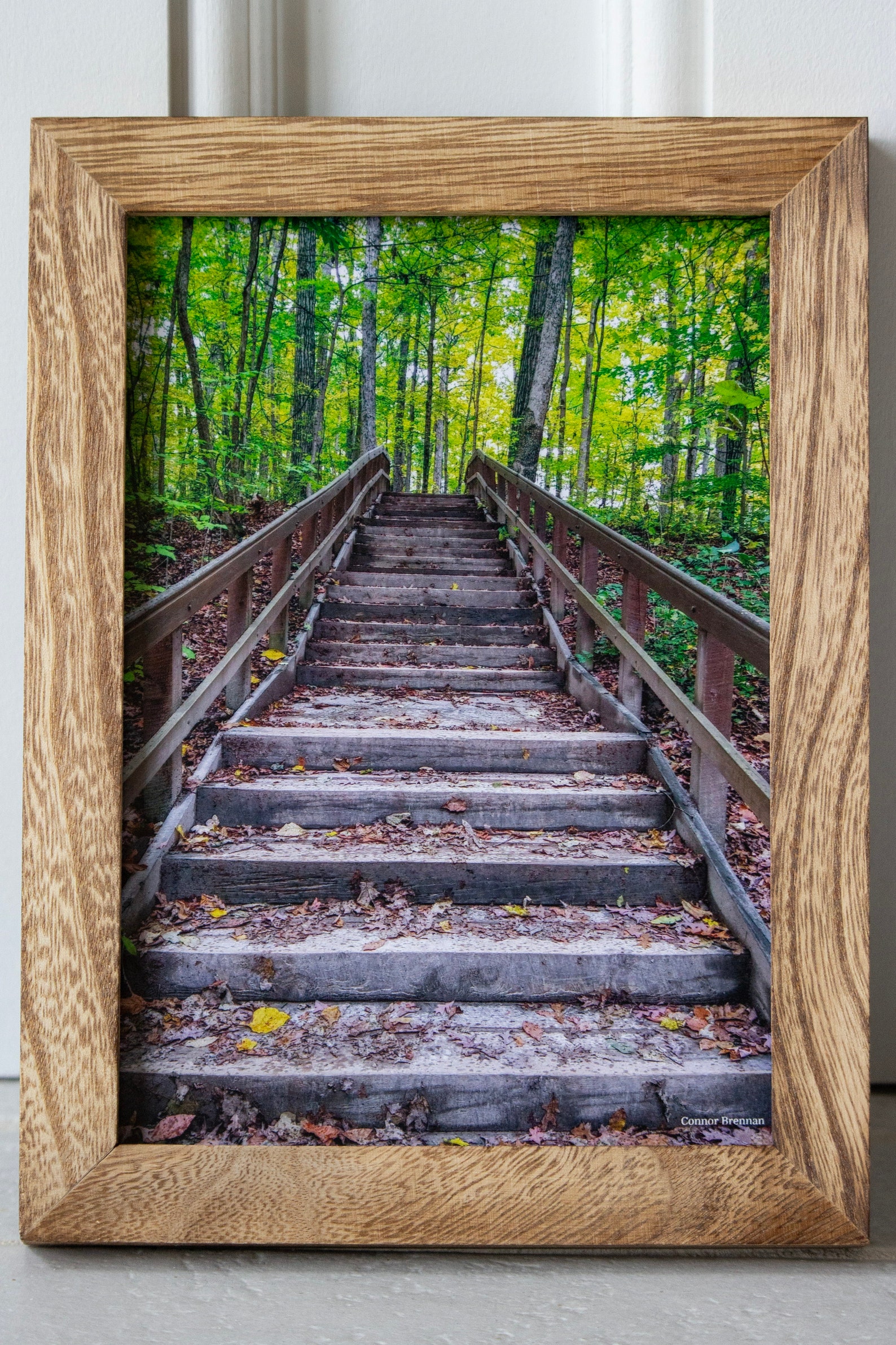 Ascending Autumn Leaf-covered Steps at Highbanks, Digital Print, Fall ...