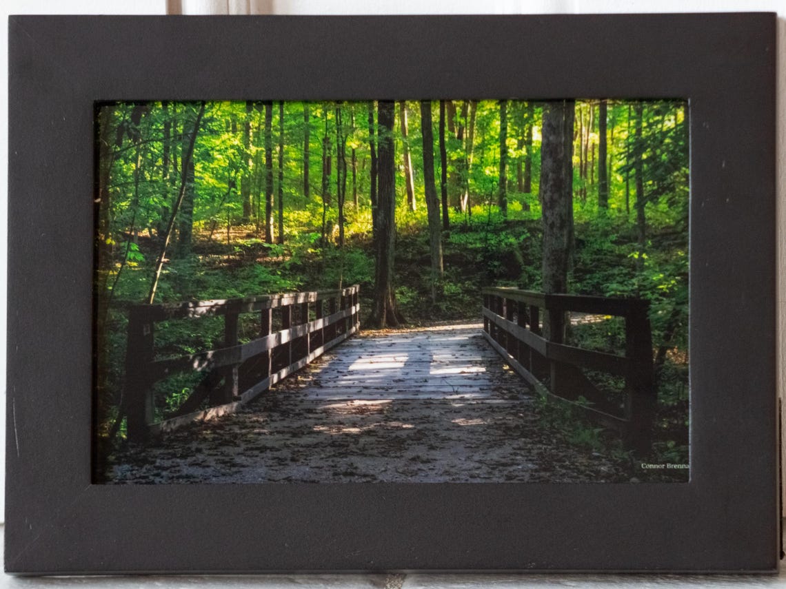 Forest Bridge - Digital Wall Art, Desktop Background, Forest Picture - Etsy