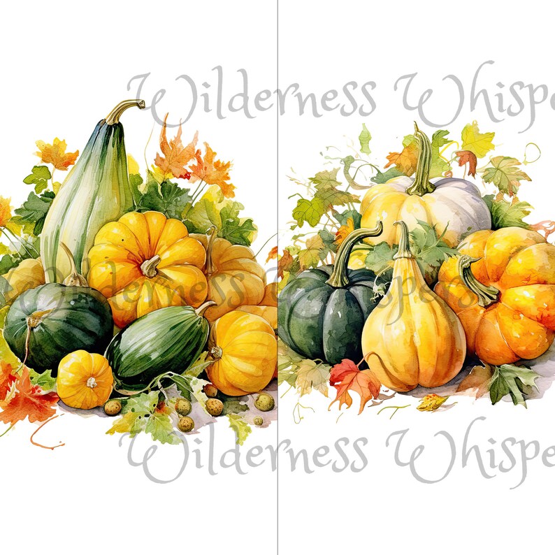 Fall Gourd Arrangements 12 JPG Watercolor Clipart Instant Download ...