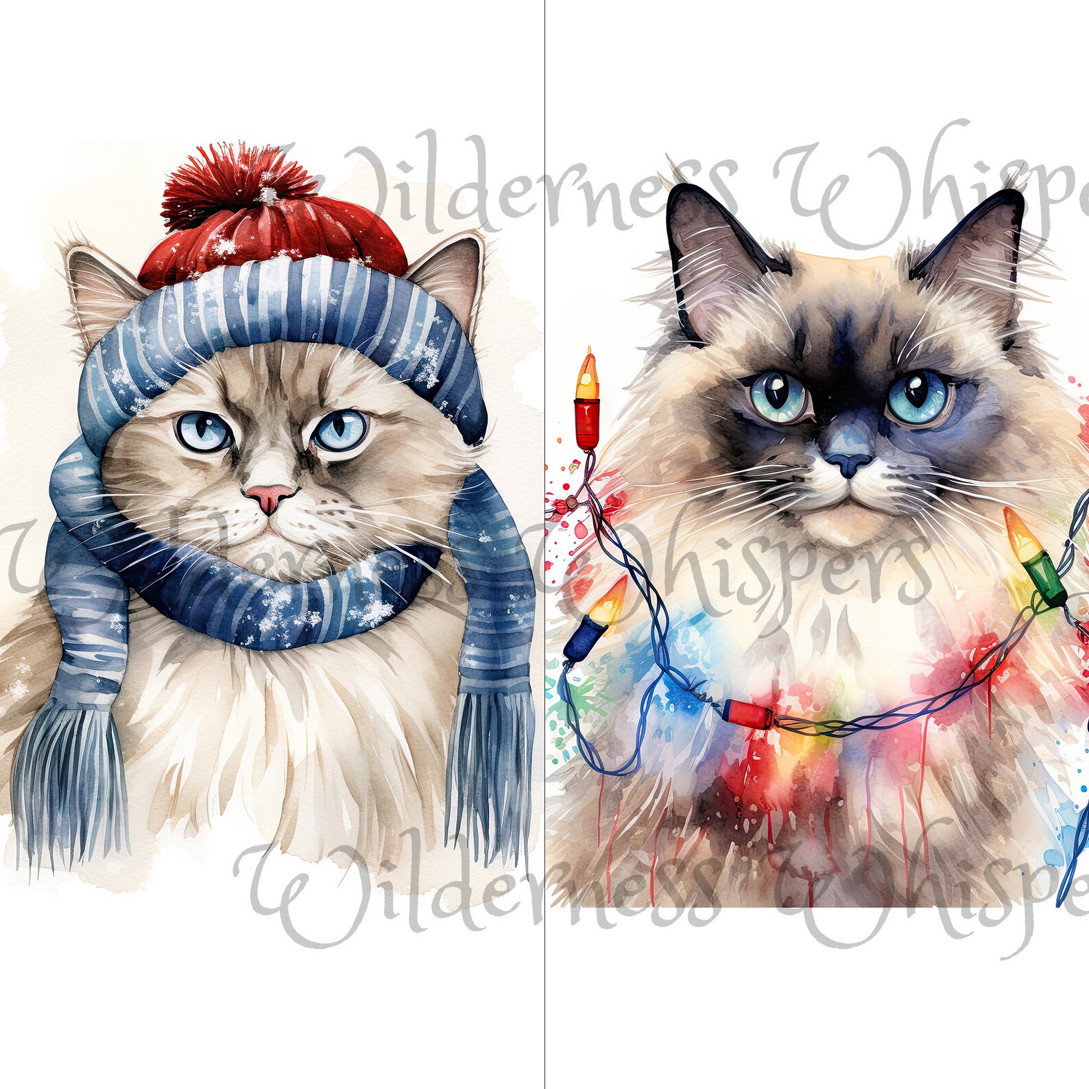Holiday Ragdoll Cats Christmas Kitties 12 JPG Watercolor Clipart ...