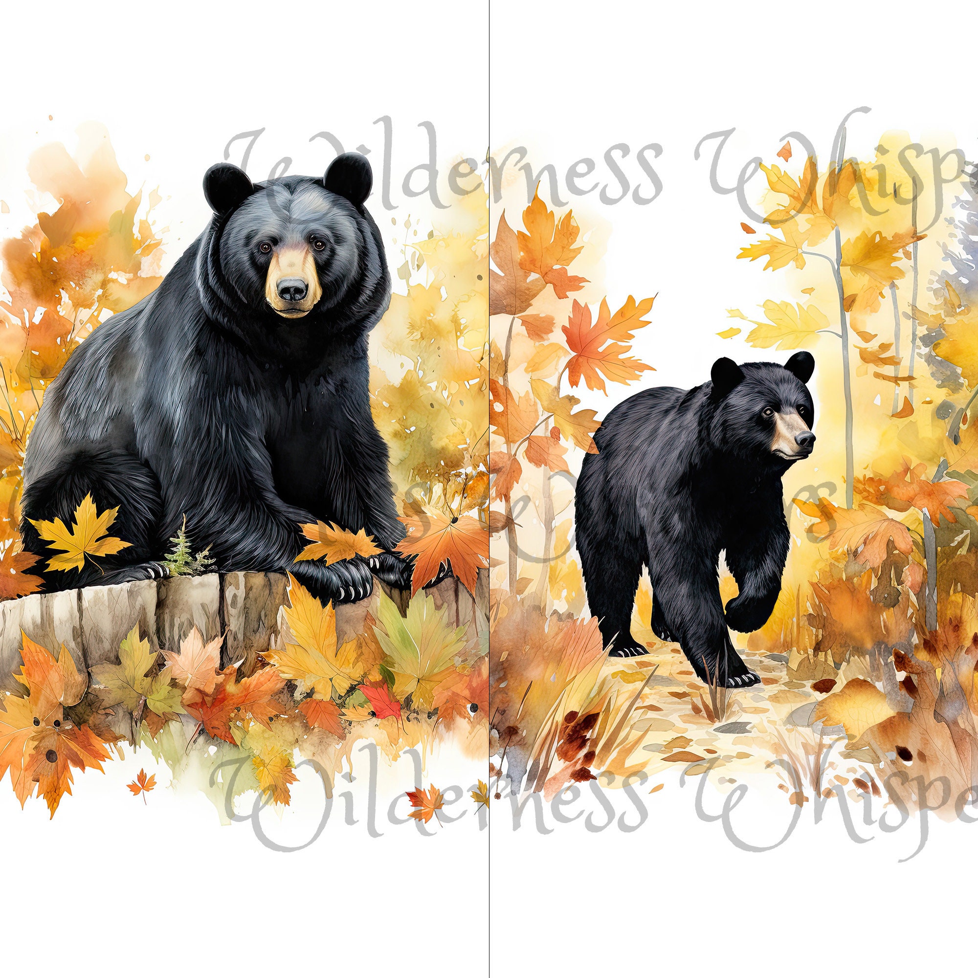 Black Bears Fall Forest 12 JPG Watercolor Clipart Instant Download ...