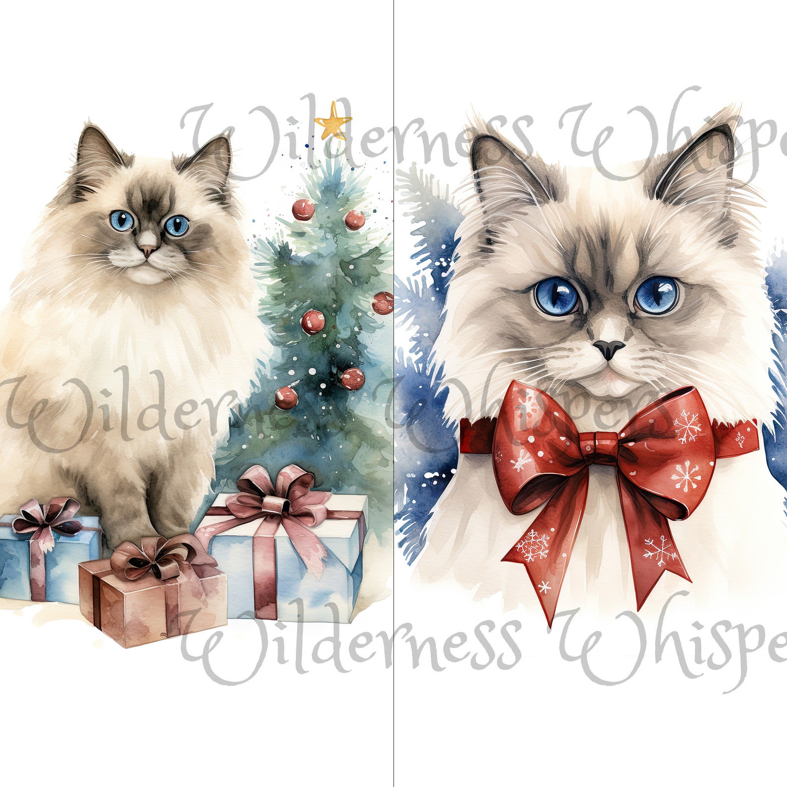 Holiday Ragdoll Cats Christmas Kitties 12 JPG Watercolor Clipart ...