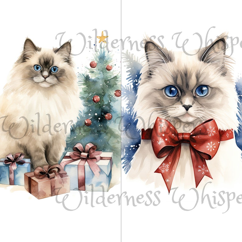 Holiday Ragdoll Cats Christmas Kitties 12 JPG Watercolor Clipart ...