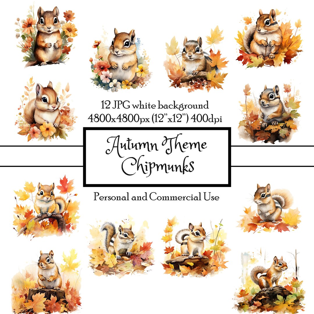 Chipmunks Fall Woodland Cute 12 JPG Watercolor Clipart Instant Download ...