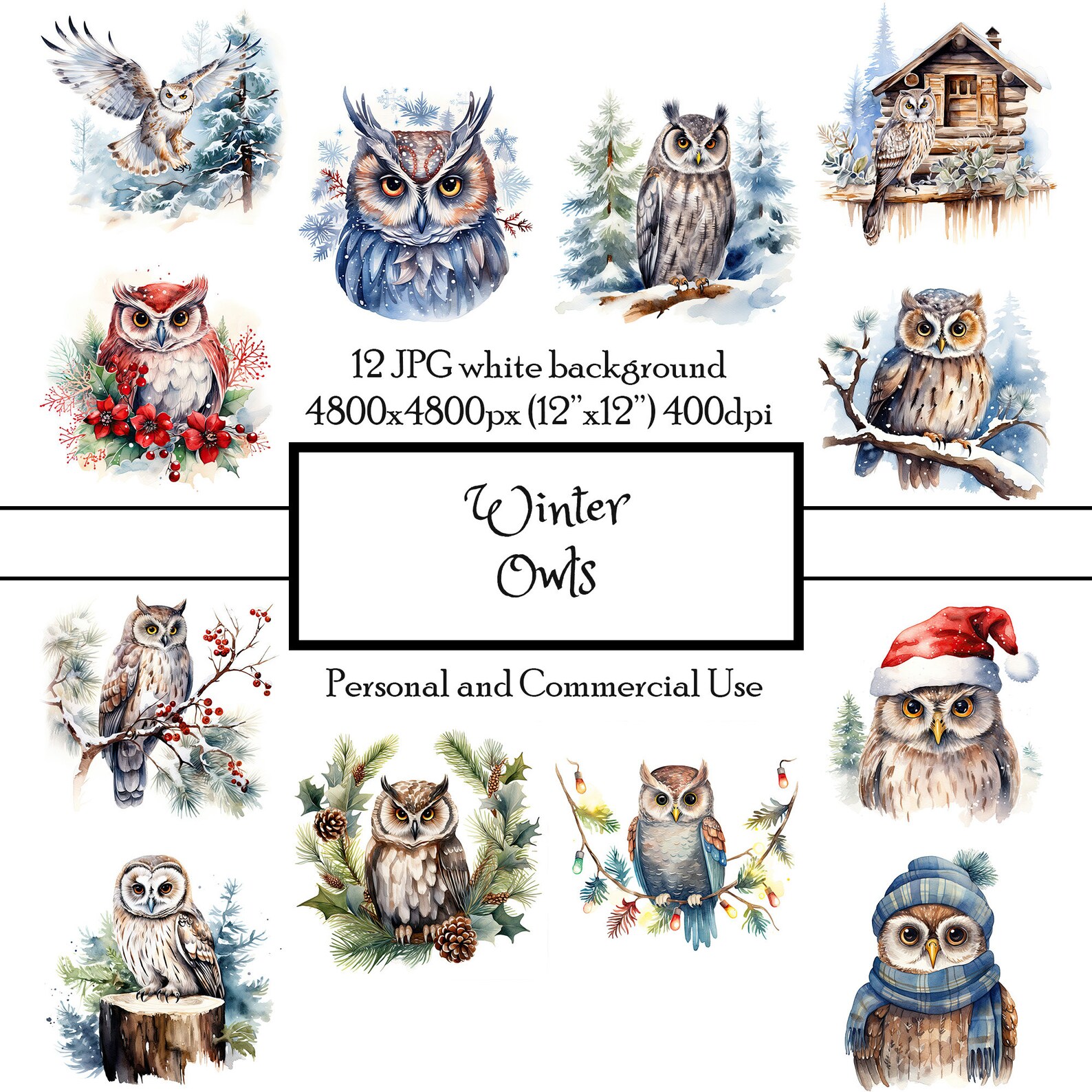 Winter Owls Holiday Christmas 12 JPG Watercolor Clipart Instant ...