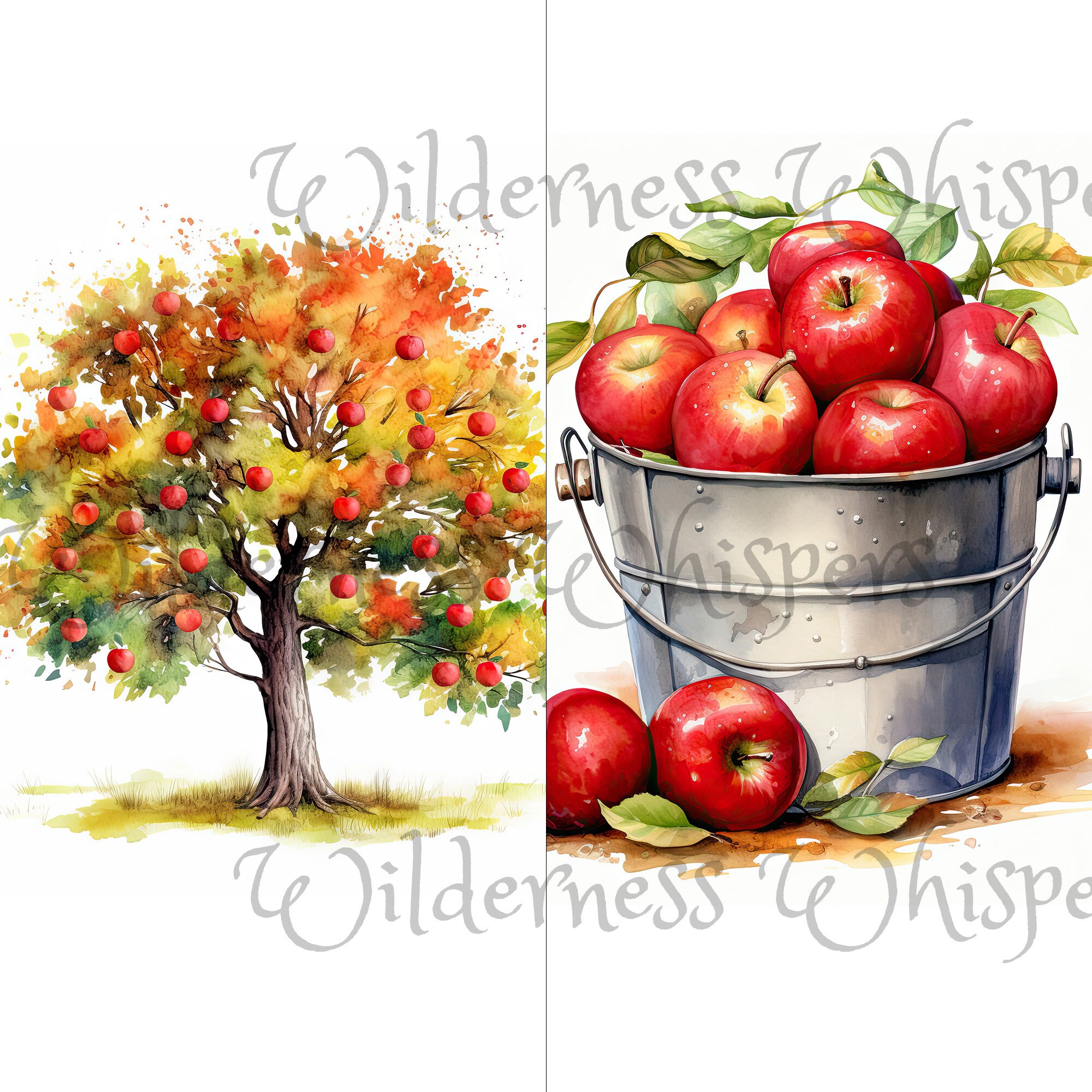 Apple Season Cider Trees 12 JPG Watercolor Clipart Instant Download ...