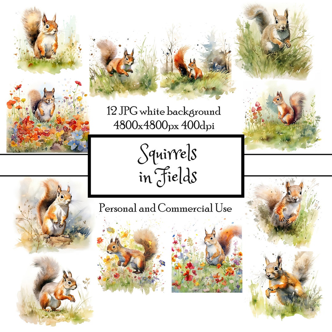 Squirrels in Fields 12 JPG Watercolor Clipart Instant Download | Cards ...