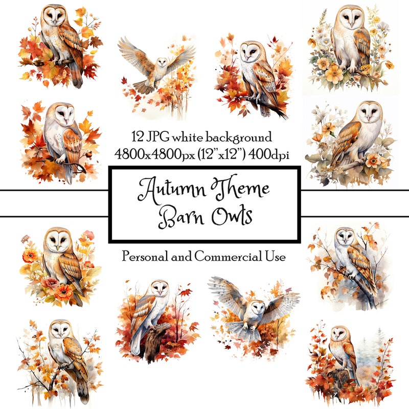 Fall Owl Clipart - Etsy