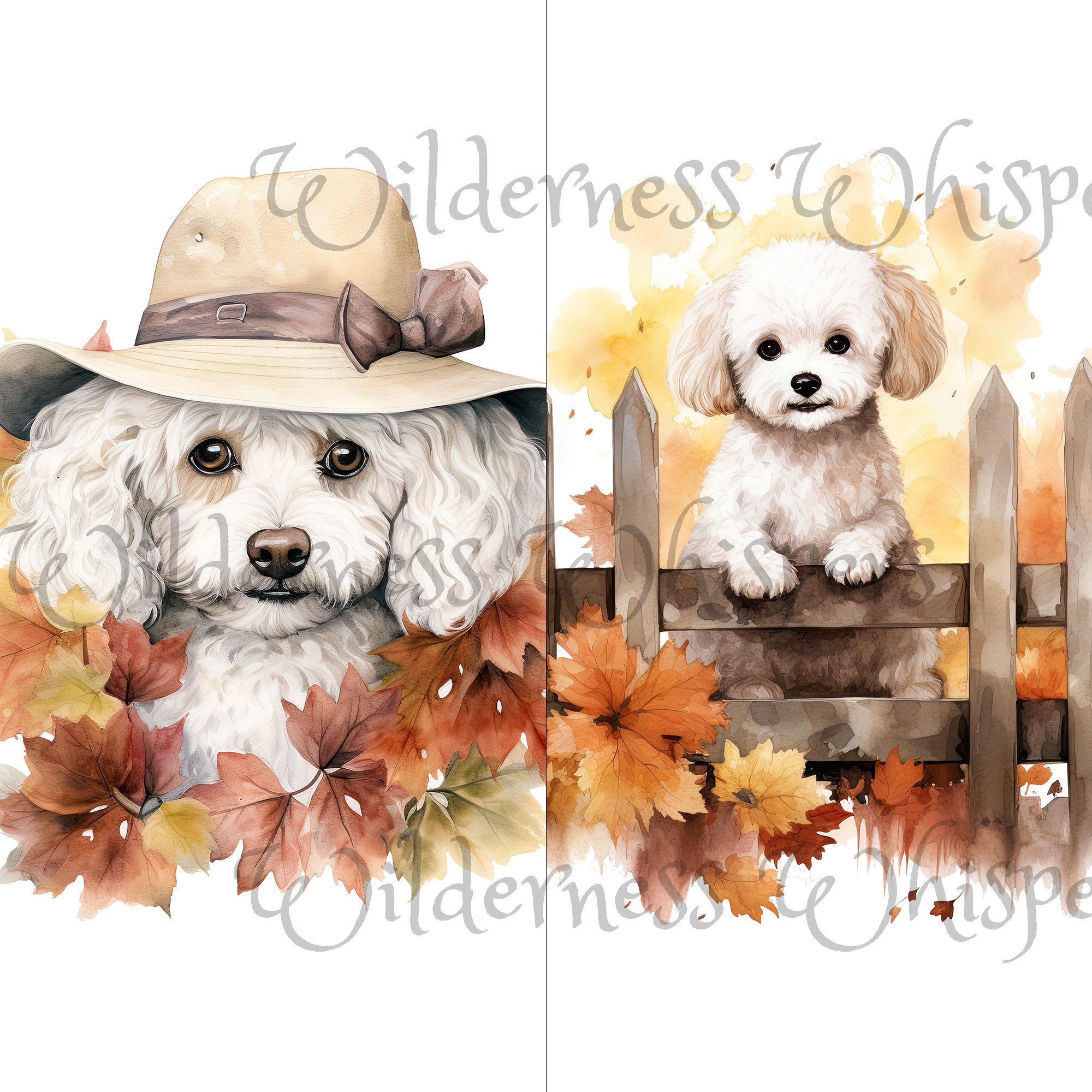 Bichon Frise Fall Cute Dog 12 JPG Watercolor Clipart Instant Download ...