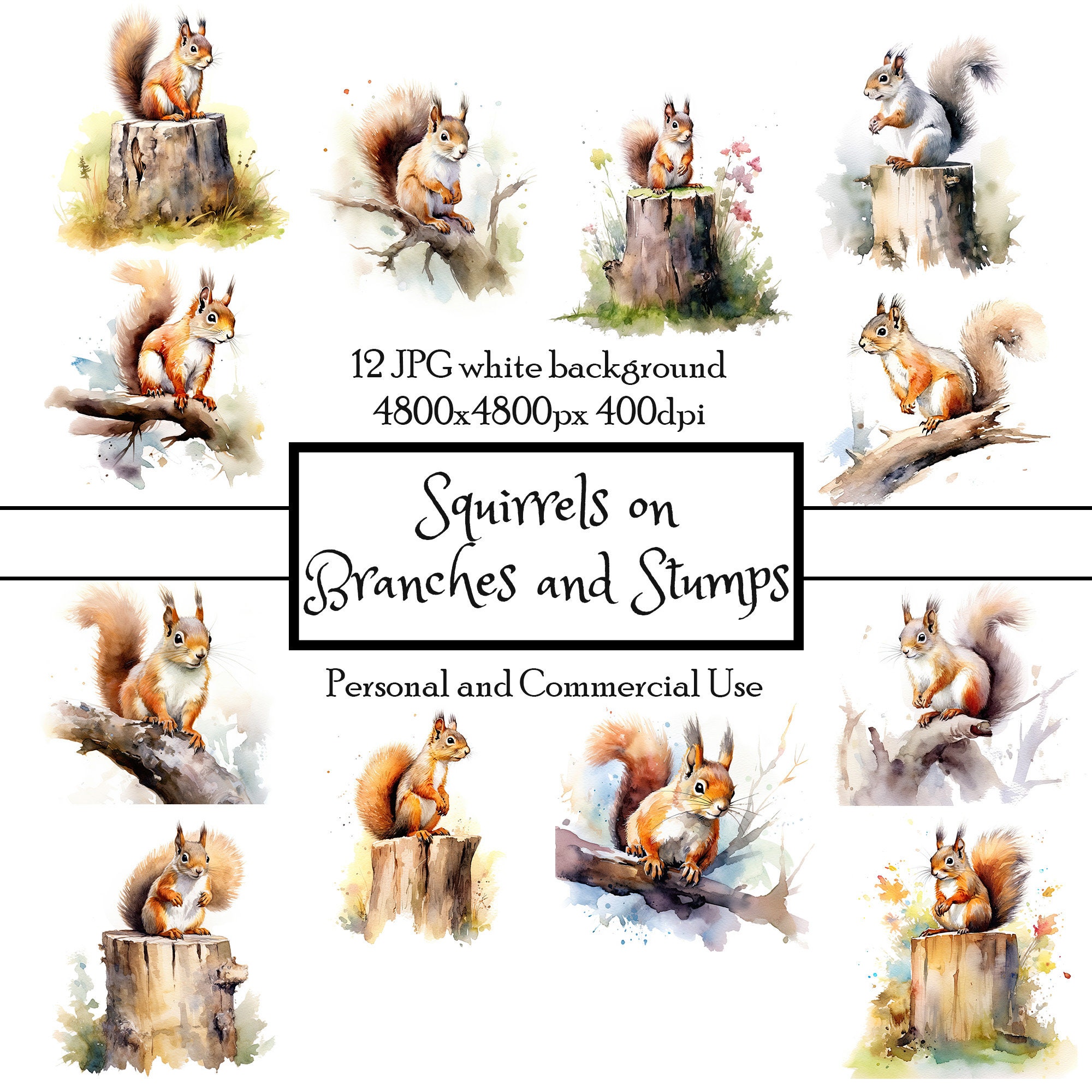 Squirrels on Branches 12 JPG Watercolor Clipart Instant Download Cards ...