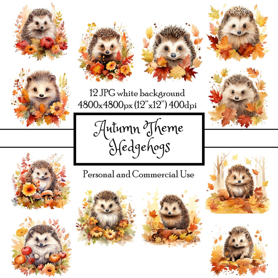 Hedgehogs Fall Woodland Cute 12 JPG Watercolor Clipart Instant Download ...