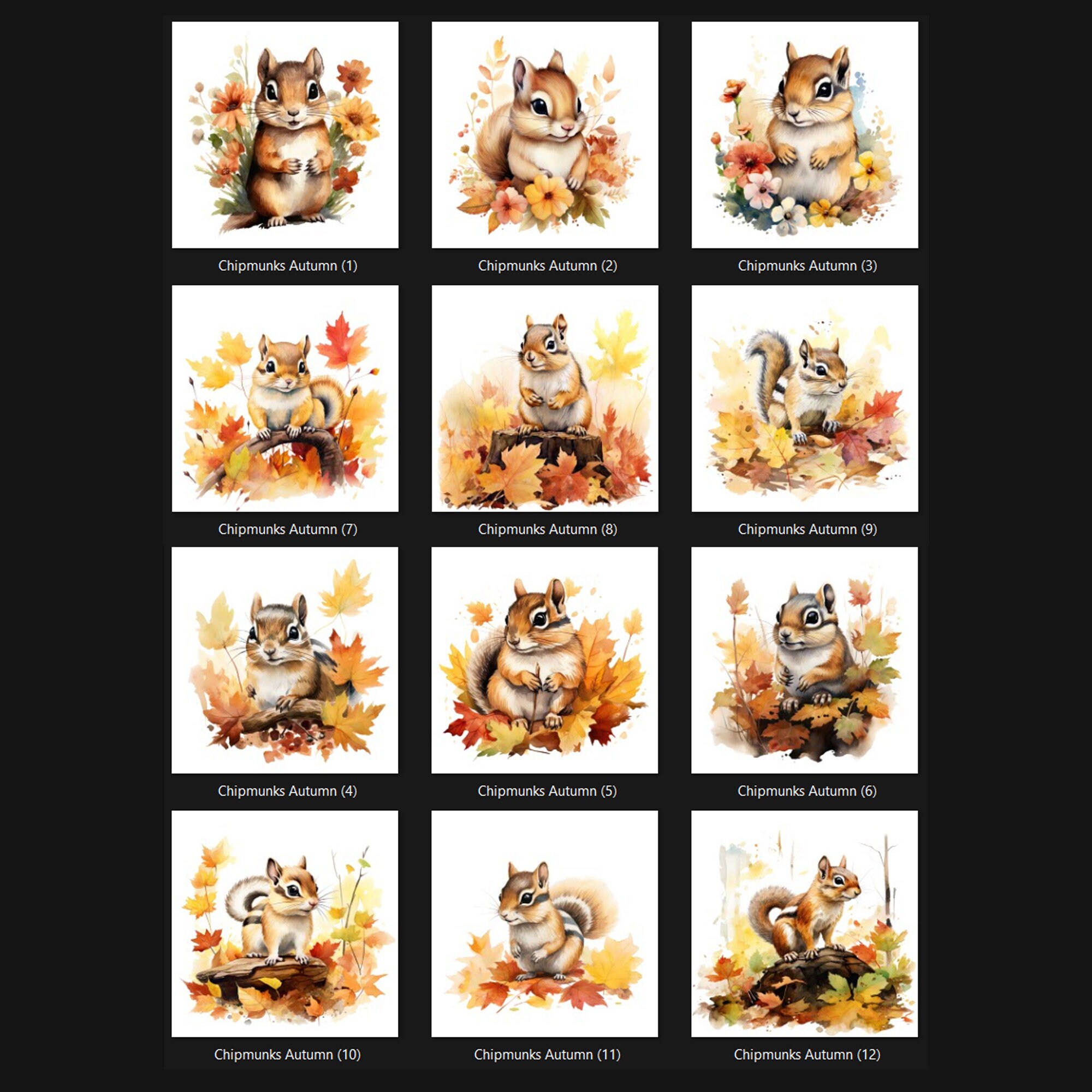 Chipmunks Fall Woodland Cute 12 JPG Watercolor Clipart Instant Download ...