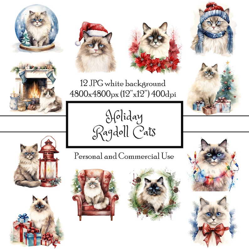 Holiday Ragdoll Cats Christmas Kitties 12 JPG Watercolor Clipart ...
