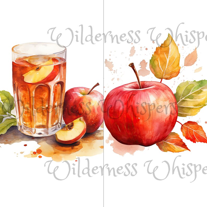 Apple Season Cider Trees 12 JPG Watercolor Clipart Instant Download ...