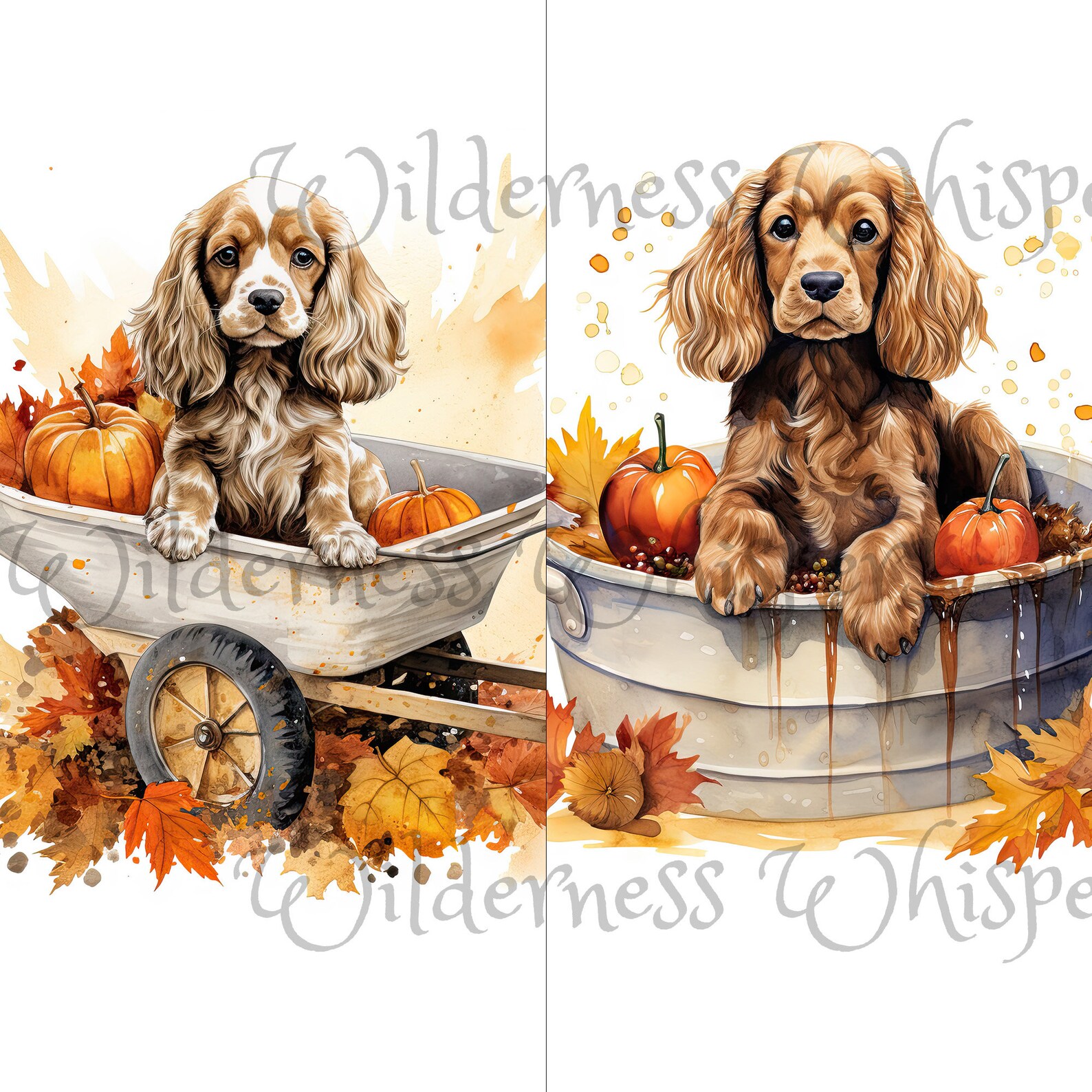 Autumn Cocker Spaniel Watercolor Clipart: 12 Fall Garden JPG White ...