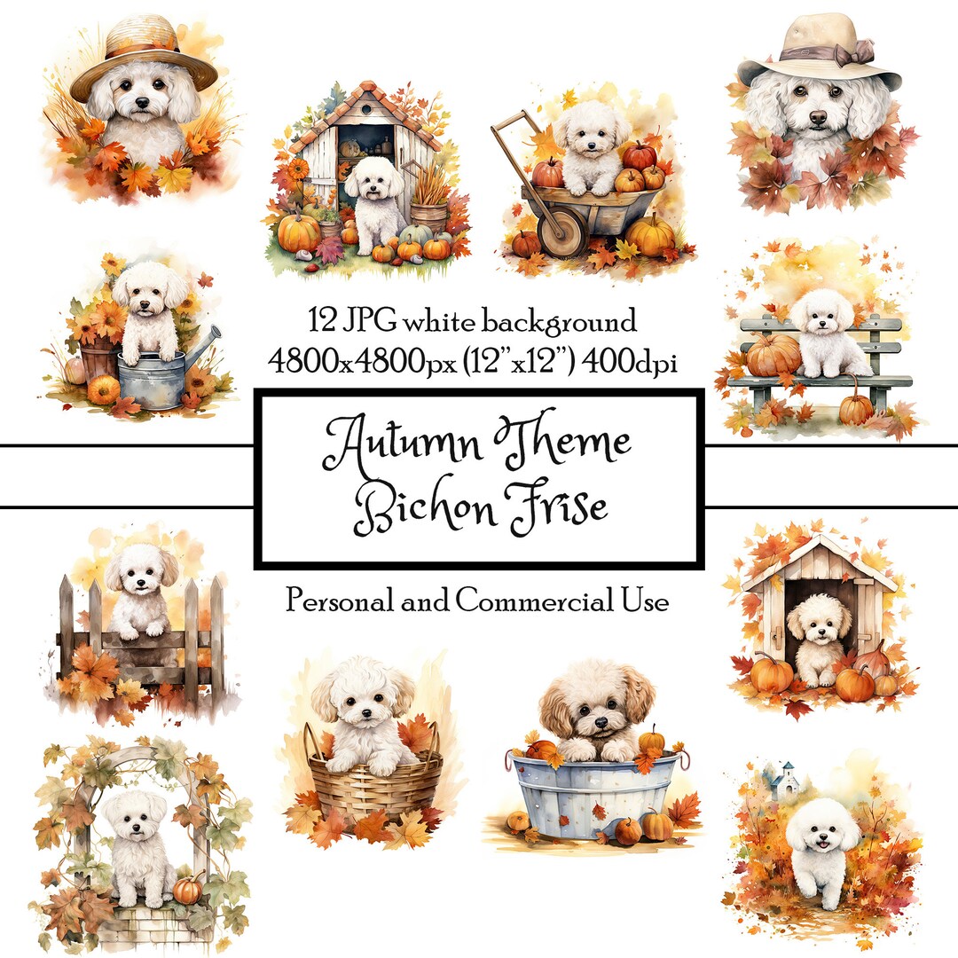 Bichon Frise Fall Cute Dog 12 JPG Watercolor Clipart Instant Download ...