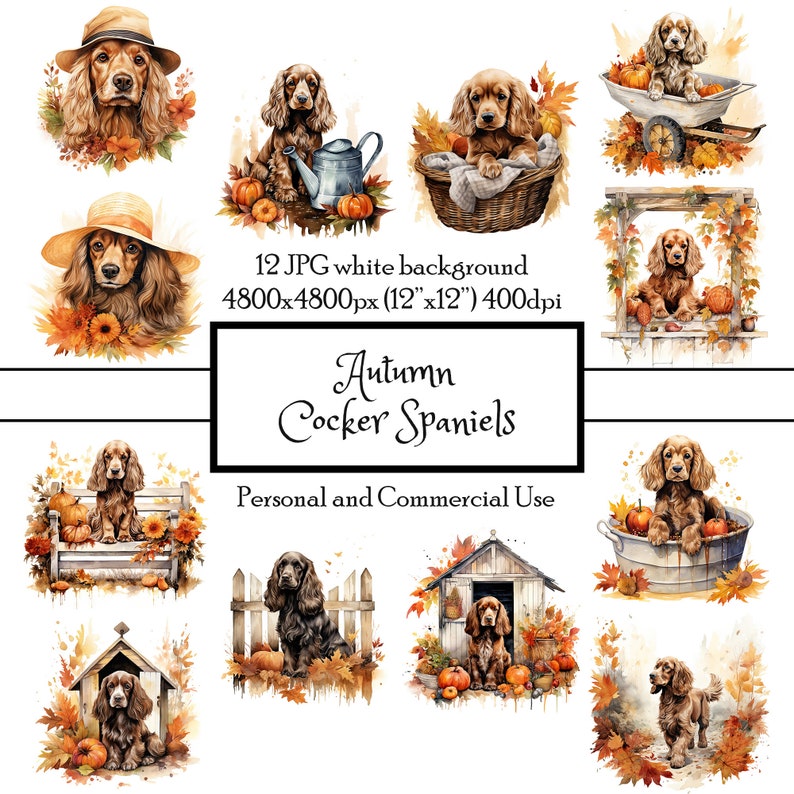 Autumn Cocker Spaniel Watercolor Clipart: 12 Fall Garden JPG White ...