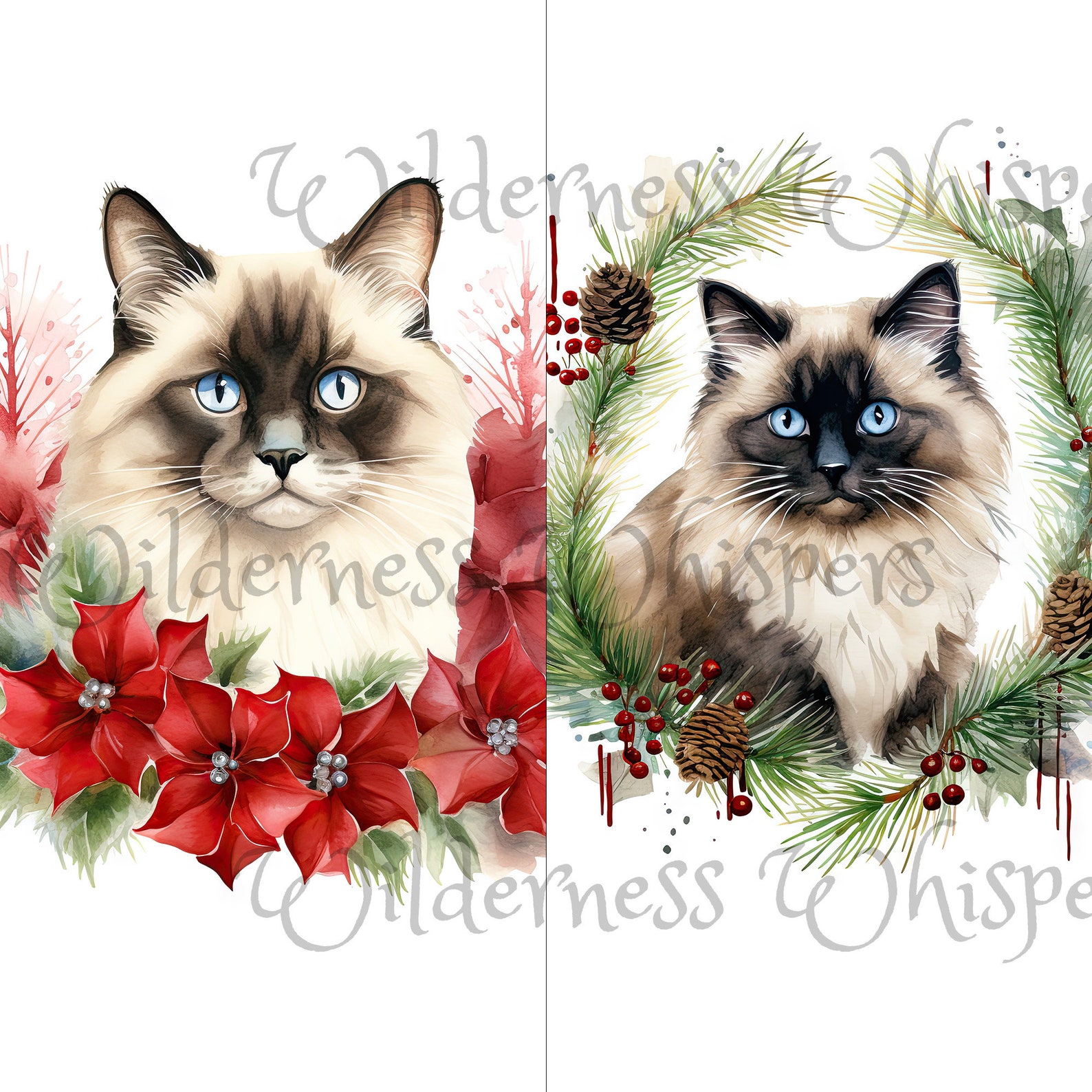 Holiday Ragdoll Cats Christmas Kitties 12 JPG Watercolor Clipart ...