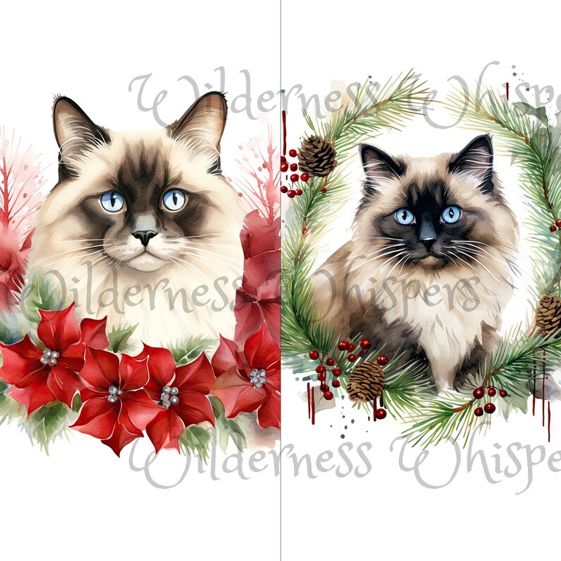 Holiday Ragdoll Cats Christmas Kitties 12 JPG Watercolor Clipart ...
