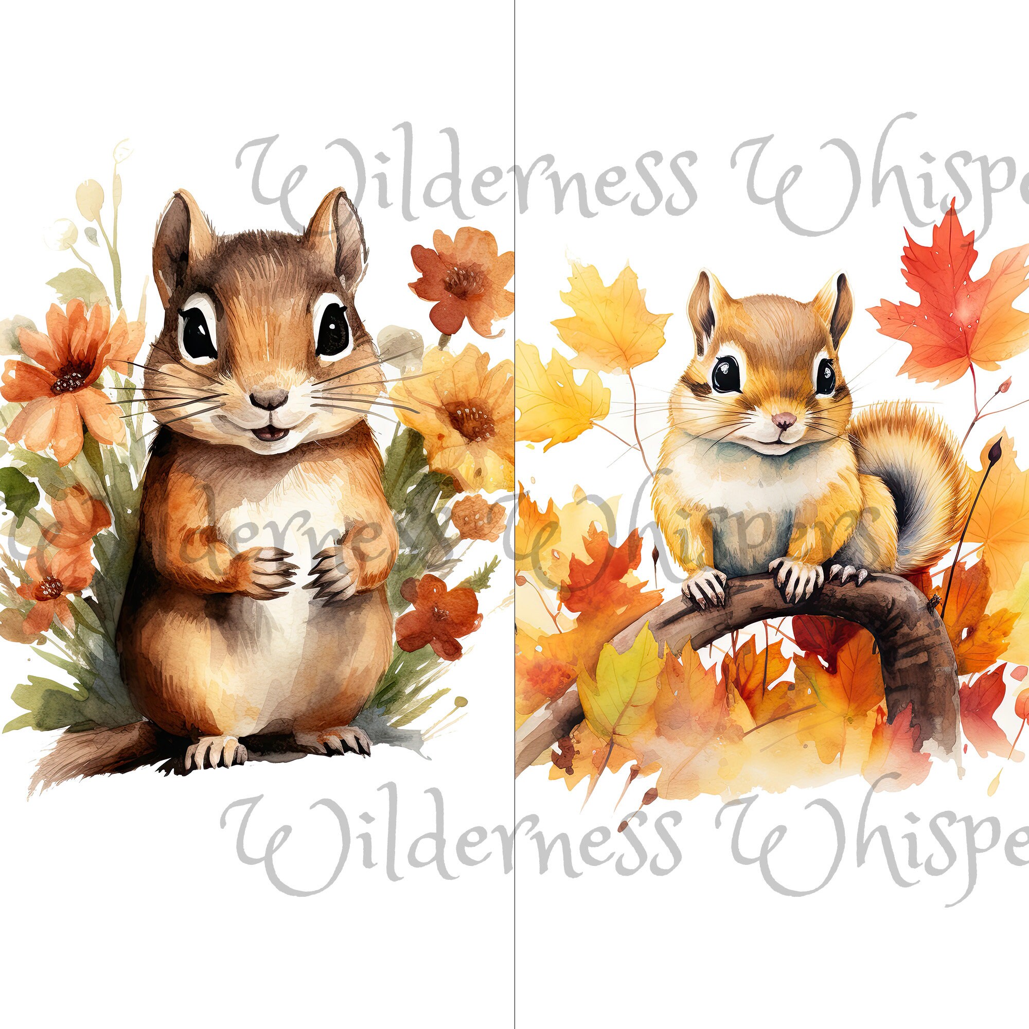 Chipmunks Fall Woodland Cute 12 JPG Watercolor Clipart Instant Download ...
