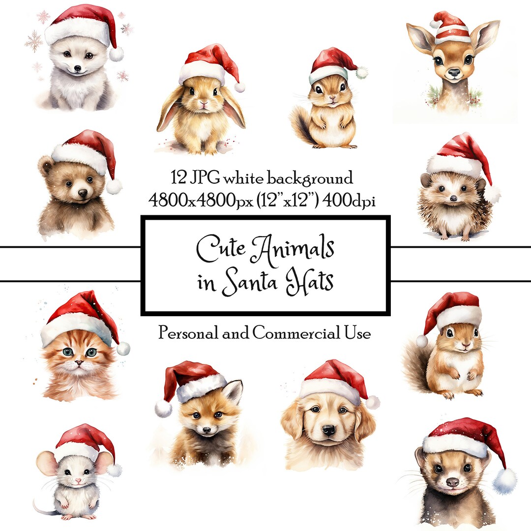 Cute Animals in Santa Hats 12 JPG Watercolor Clipart Instant Download ...