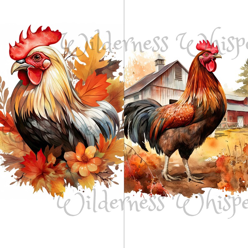 Roosters Autumn Fall Farm 12 JPG Watercolor Clipart Instant Download ...