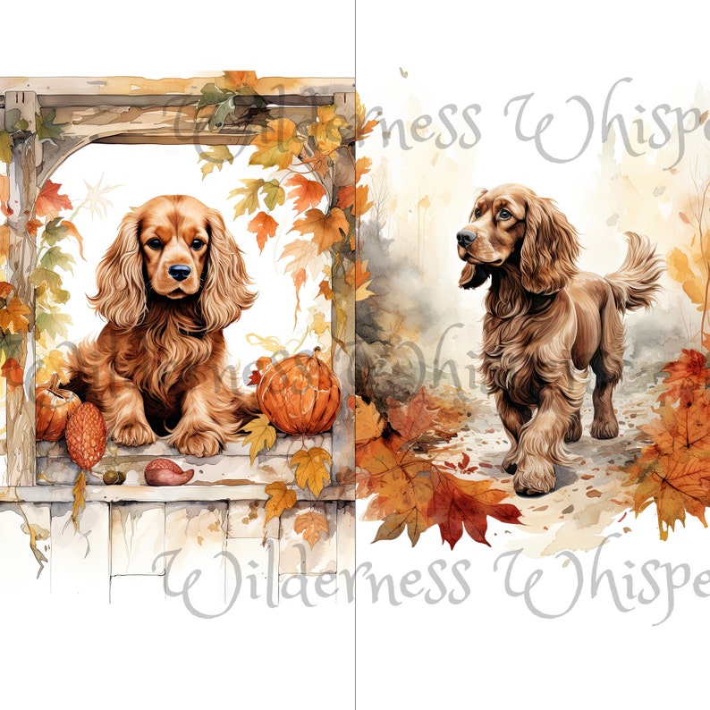 Autumn Cocker Spaniel Watercolor Clipart: 12 Fall Garden JPG White ...
