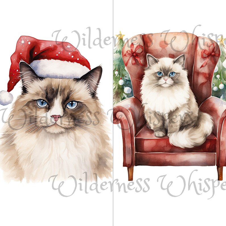 Holiday Ragdoll Cats Christmas Kitties 12 JPG Watercolor Clipart ...