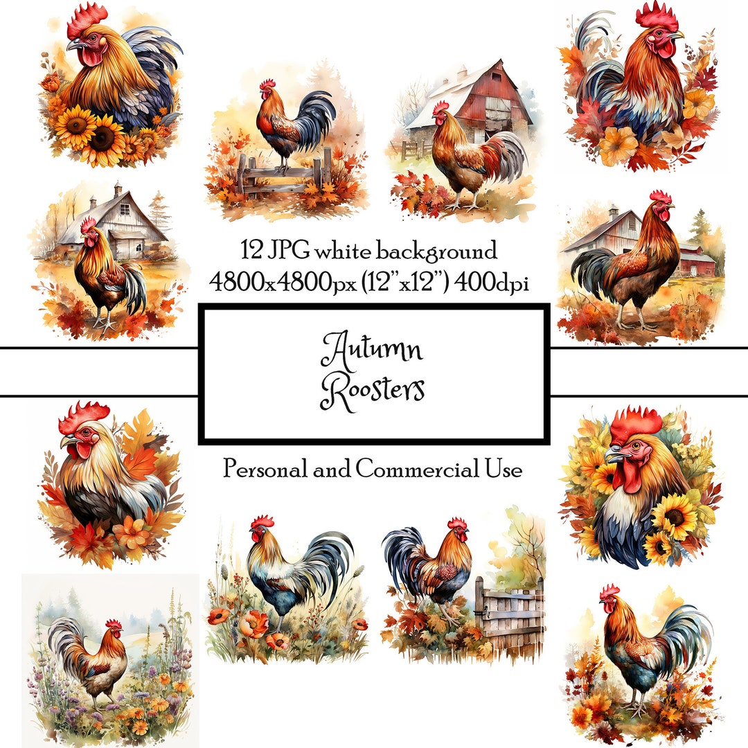 Roosters Autumn Fall Farm 12 JPG Watercolor Clipart Instant Download ...