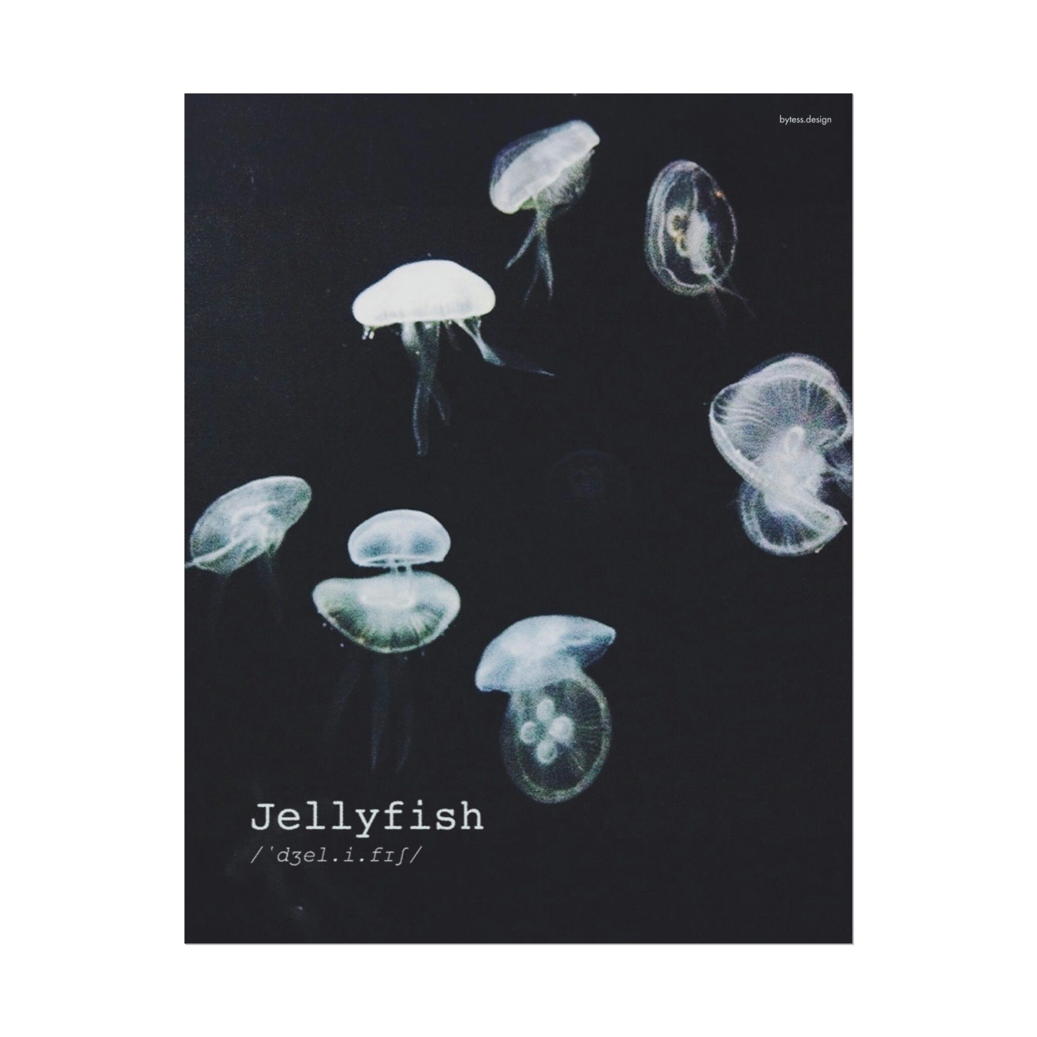 Jellyfish Poster Graphic Design - Etsy