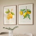 Lemon Print, Set of 2, Lemon Print Wall Art, Citrus Print, Lemon Branch ...