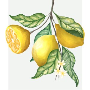Lemon Print, Set of 2, Lemon Print Wall Art, Citrus Print, Lemon Branch ...