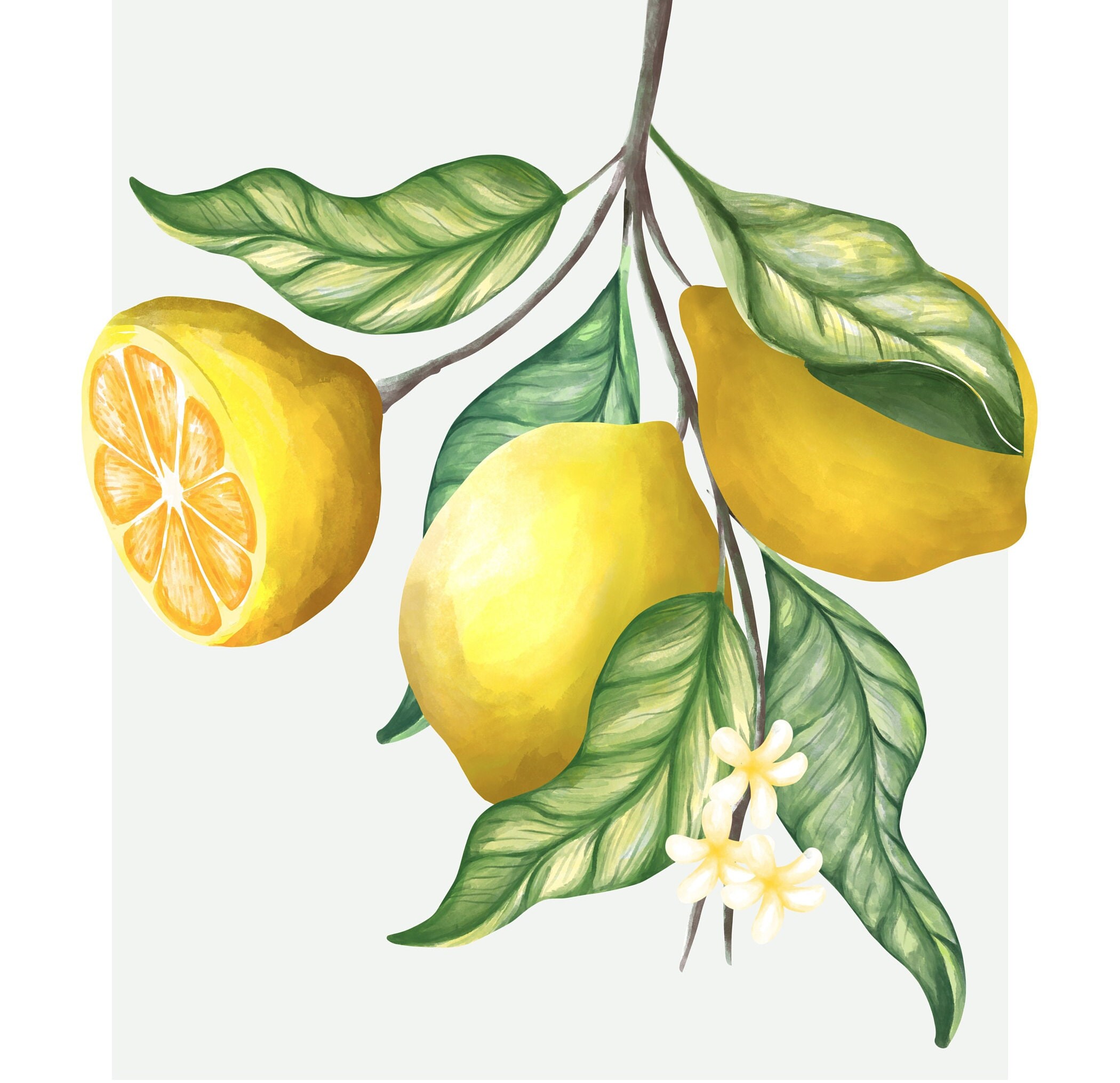 Lemon Print, Set of 2, Lemon Print Wall Art, Citrus Print, Lemon Branch ...