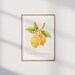 Lemon Print, Set of 2, Lemon Print Wall Art, Citrus Print, Lemon Branch ...