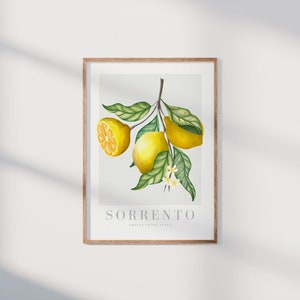 Lemon Print, Set of 2, Lemon Print Wall Art, Citrus Print, Lemon Branch ...
