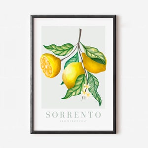 Lemon Print, Set of 2, Lemon Print Wall Art, Citrus Print, Lemon Branch ...