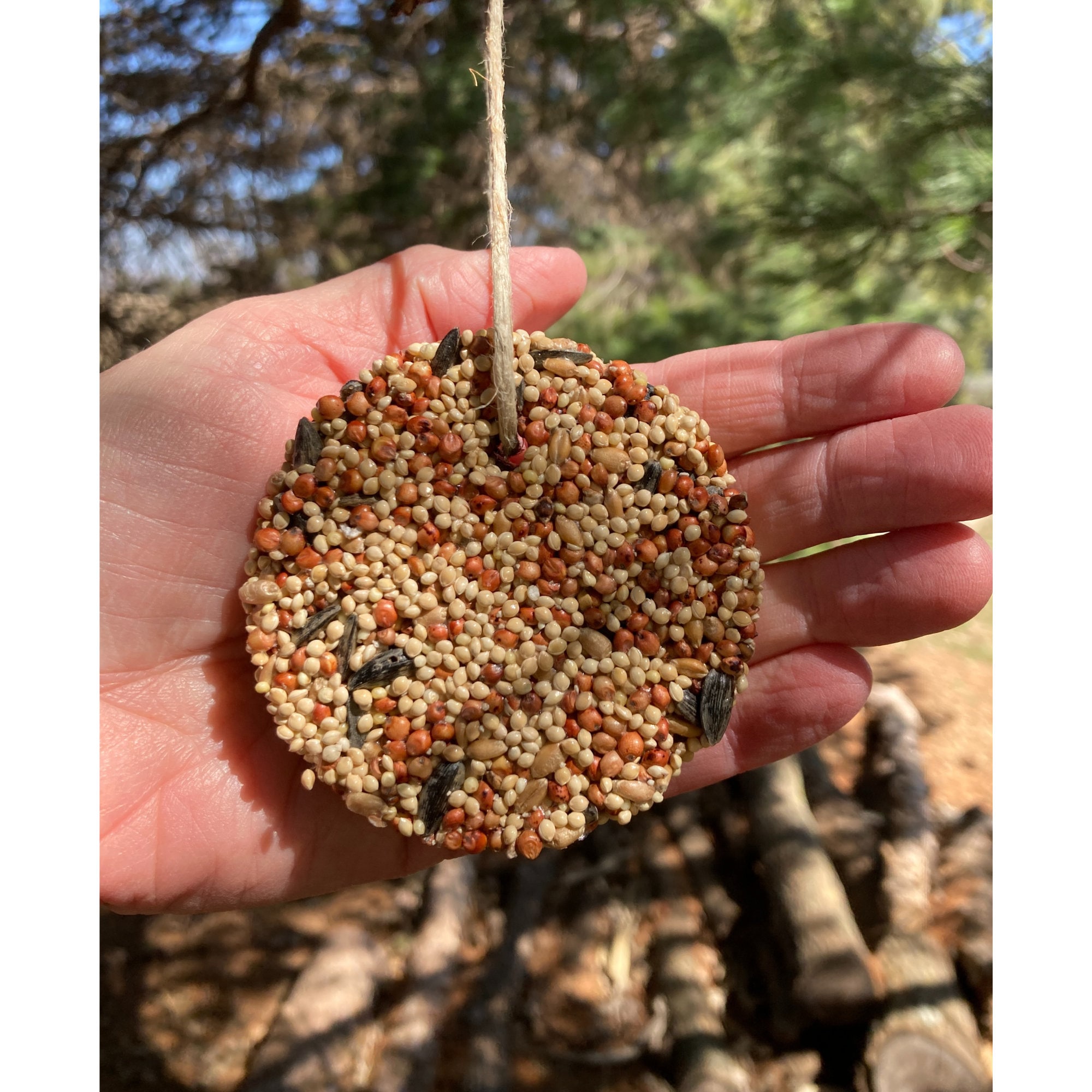 12 Wedding Favor Bird Seed Cakes Bridal Shower Party Favor Gifts ...