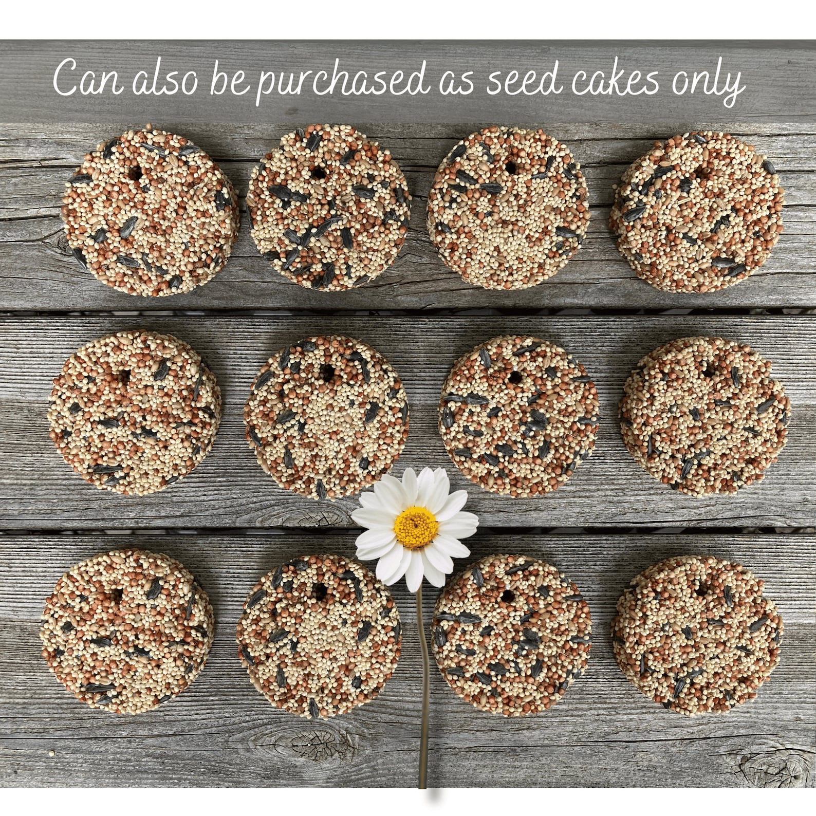 12 Memorial Favors Bird Seed Cakes Celebration of Life Favor Gifts ...