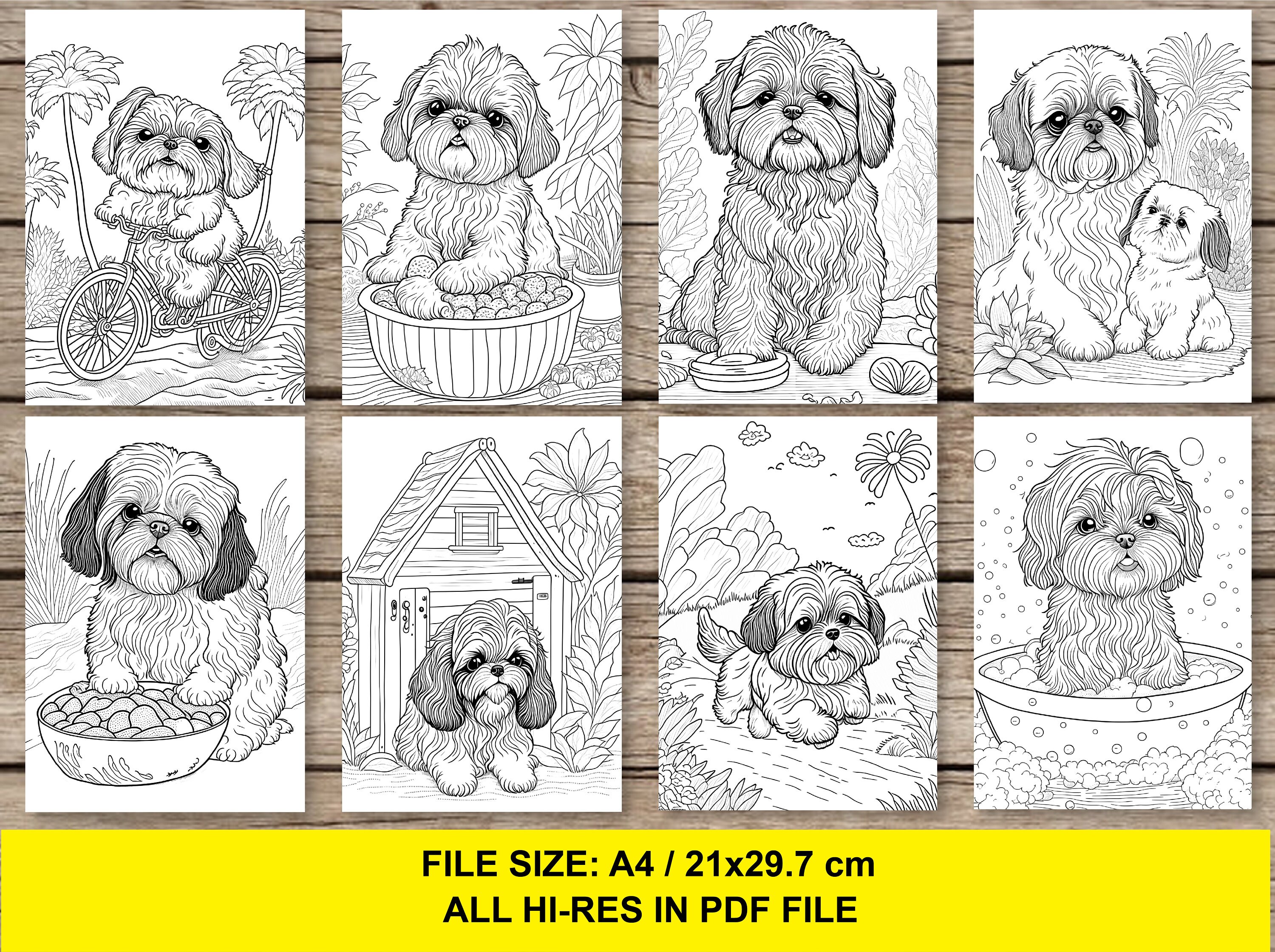 Shih Tzu Adult/kids 24 Coloring Pages Cover, AI Generated Coloring Page ...