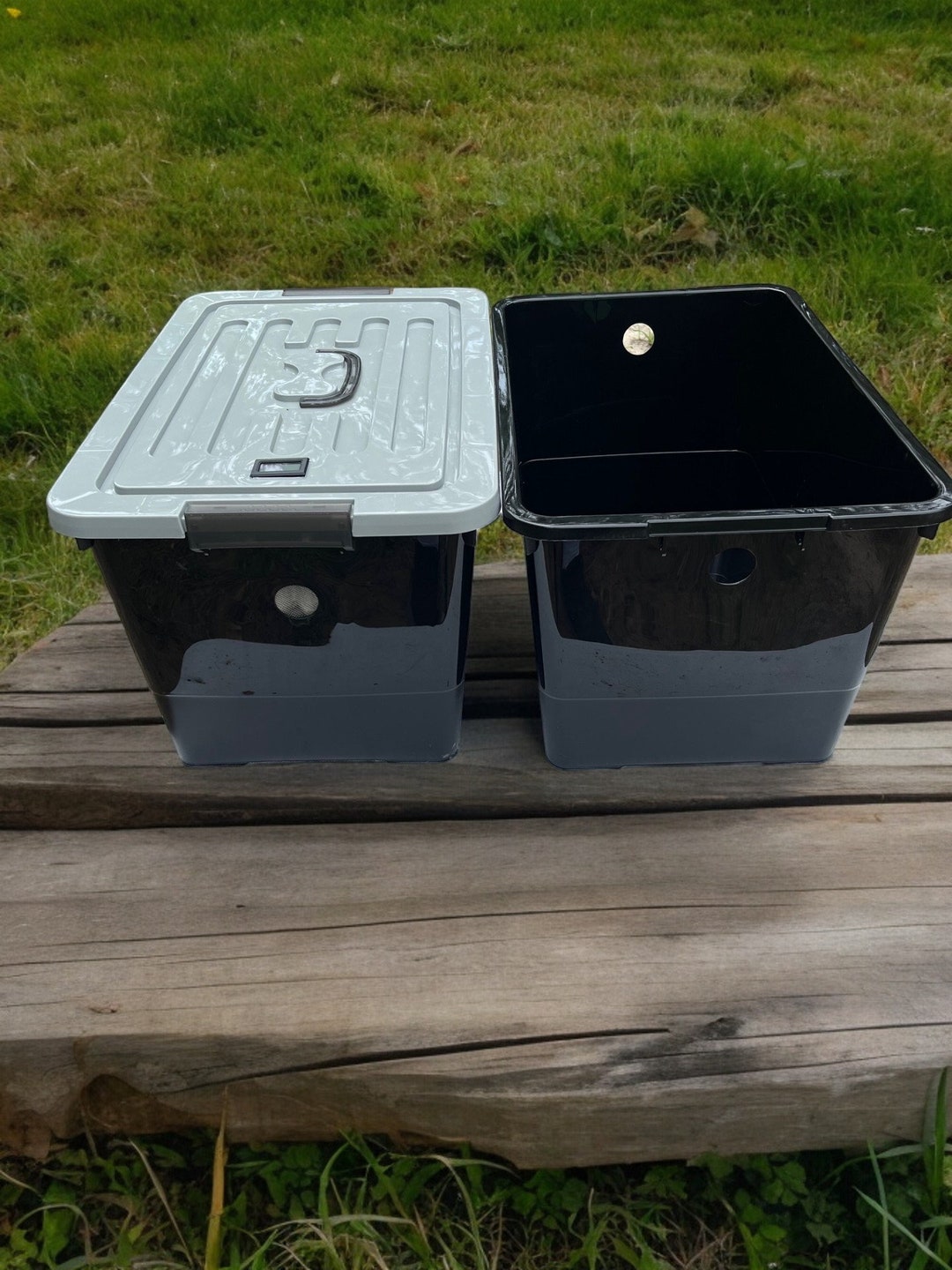 Jumbo Self-cleaning Dubia Roach Breeder Box, Commercial Grade Breeding ...