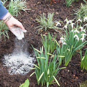 Organic Wood Ash Soap Making Gardening 1 Lb, Natural Ingredient ...