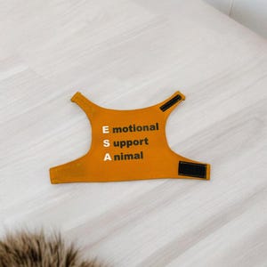 Bearded Dragon Emotional Support Animal Vest, Reptile Pet Harness ...