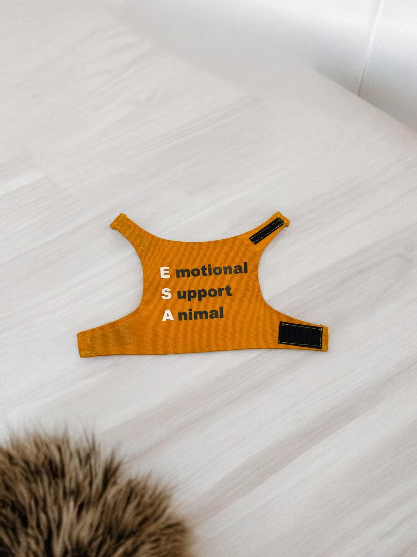 Bearded Dragon Emotional Support Animal Vest, Reptile Pet Harness ...