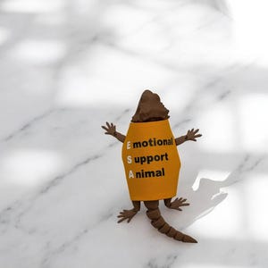 Bearded Dragon Emotional Support Animal Vest, Reptile Pet Harness ...