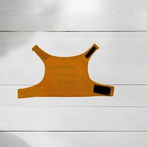 Bearded Dragon Emotional Support Animal Vest, Reptile Pet Harness ...