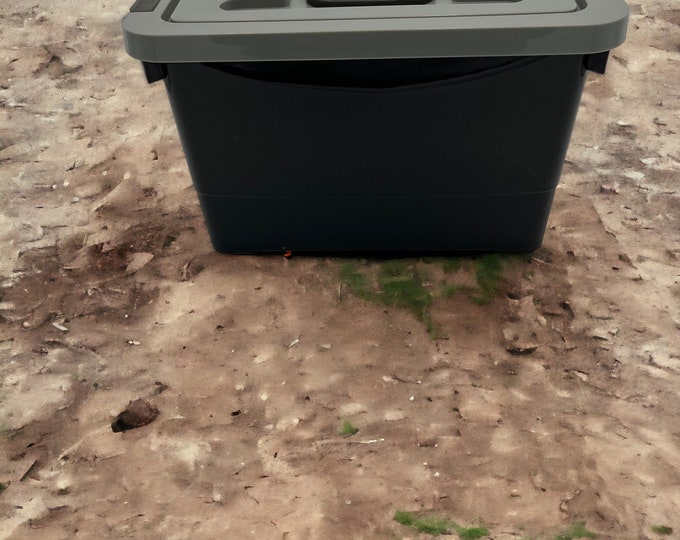 Dubia Roach Breeding Box Small Size, Starter Breeder Kit, Colony ...