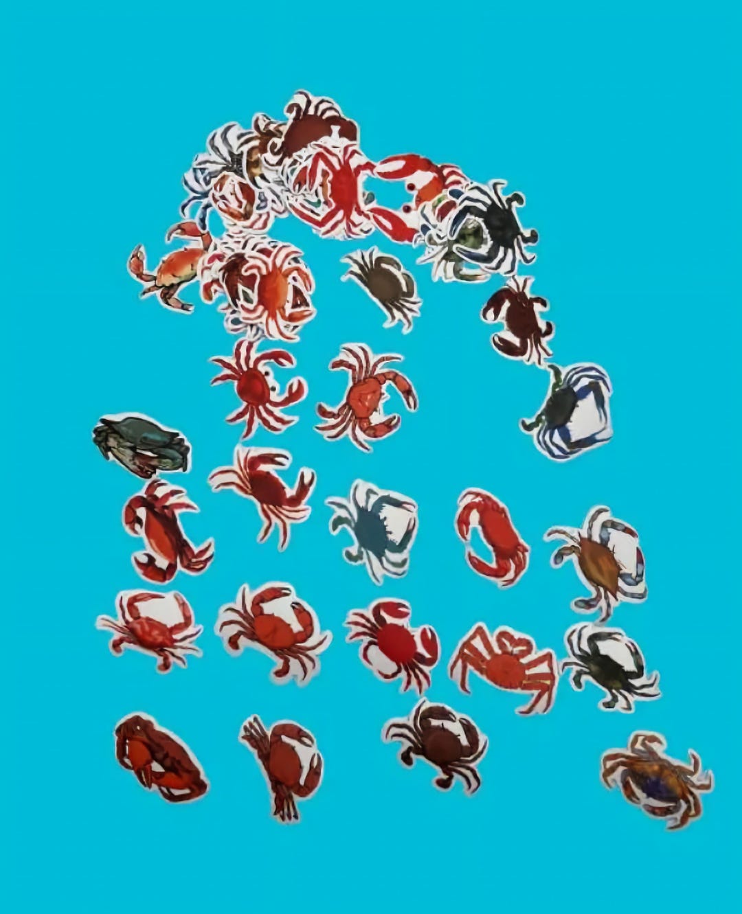 50 Pcs. Sea Crab Stickers Set, Ocean Theme Decals, 1"x2" Inch. Sticker ...