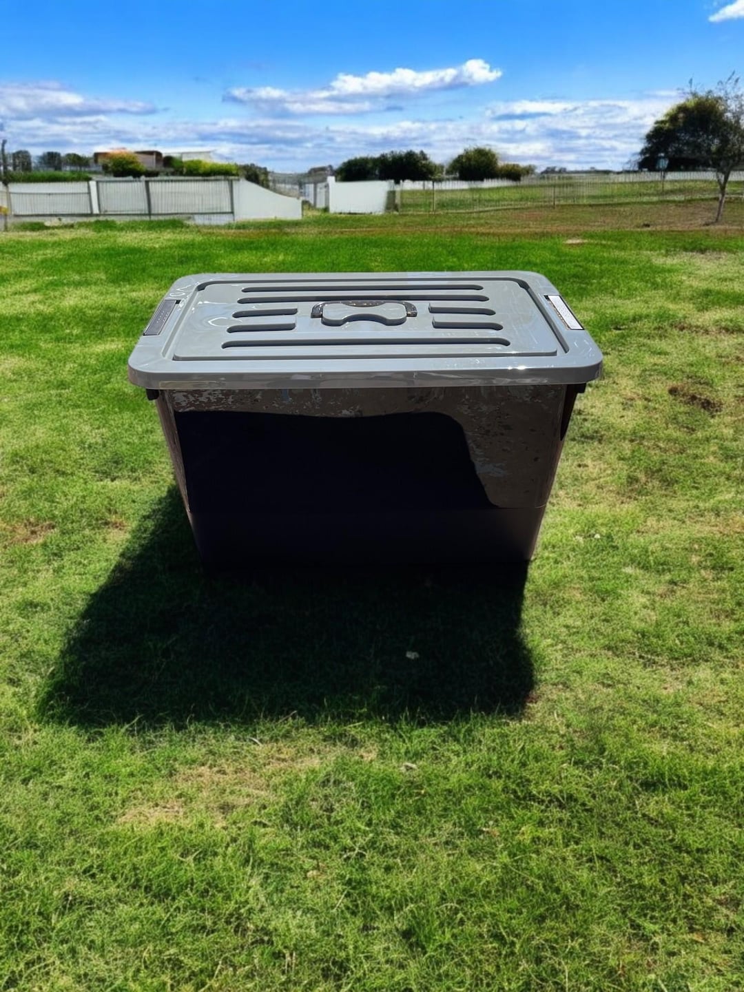 Jumbo Dubia Roach Breeder Box, Commercial Grade Breeding Container ...