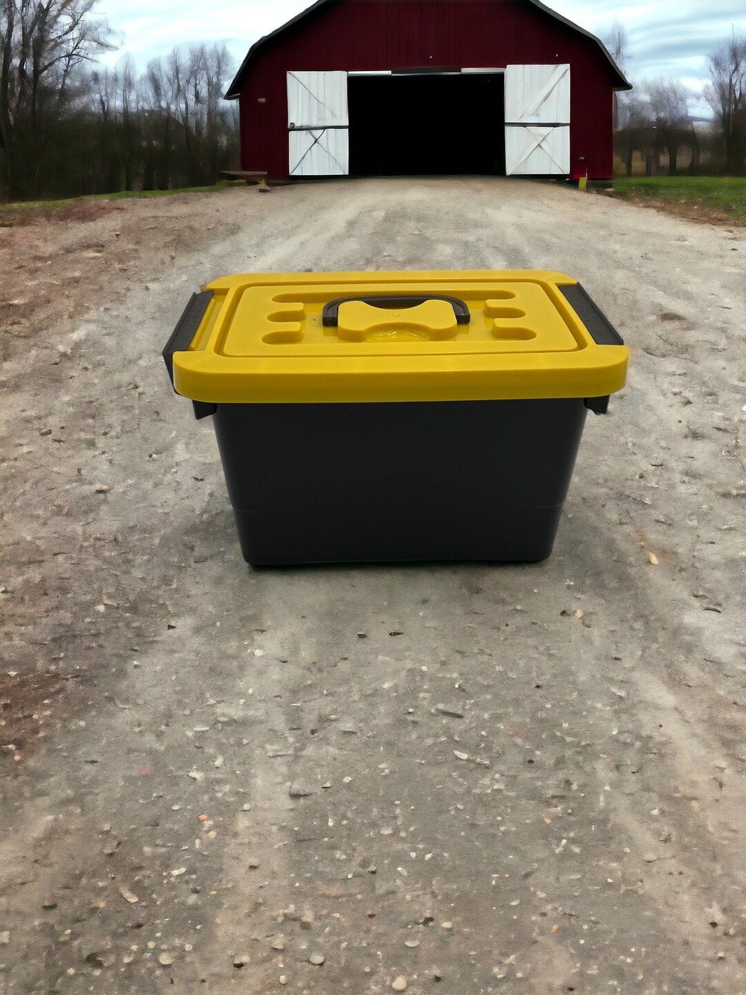 Mini Dubia Farm Breeder Box, Dubia Roach Breeding Kit, Insect Breeder ...